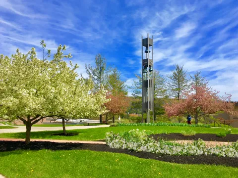 Travel and Transportation | Alfred State