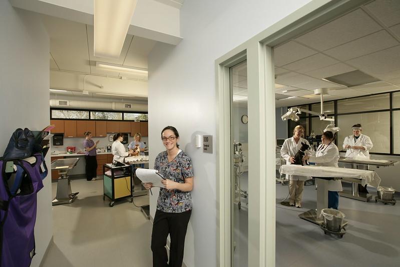 Veterinary Technology | Alfred State